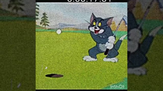 InShot_20260531_085640364.mp4