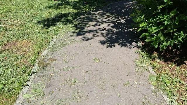 VID_20260531_123408860