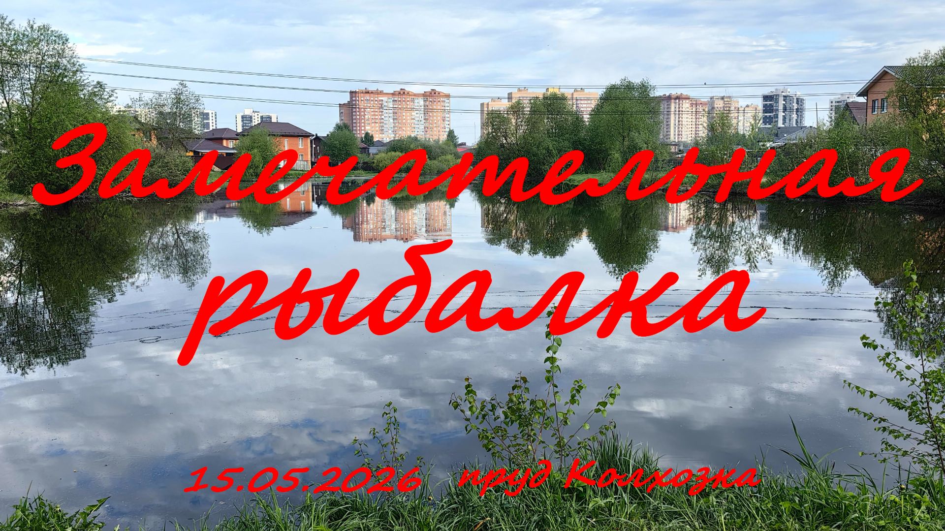 Замечательная рыбалка.15.05.2026. пруд Колхозка. Рыбалка в Московской области.