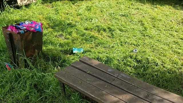 VID_20260529_092440212