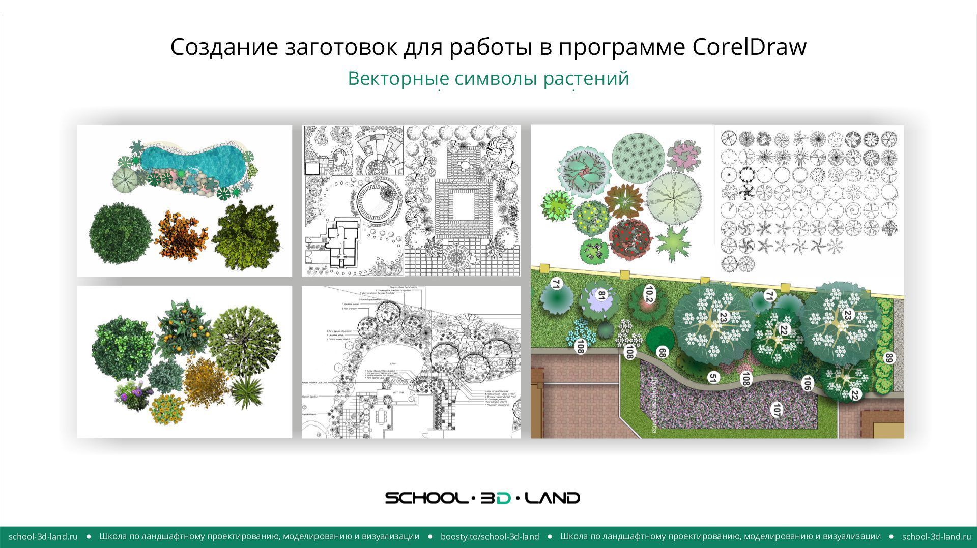 CD5. Создание заготовок для CorelDRAW. Векторные растения. Часть 1