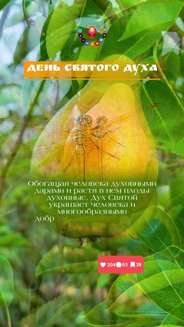 Дух Святой украшает человека!..