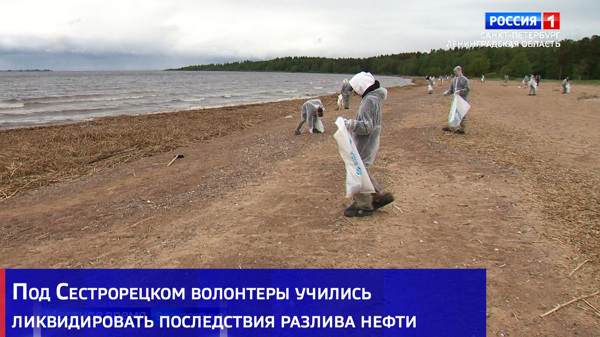 Под Сестрорецком волонтеры учились ликвидировать последствия разлива нефти