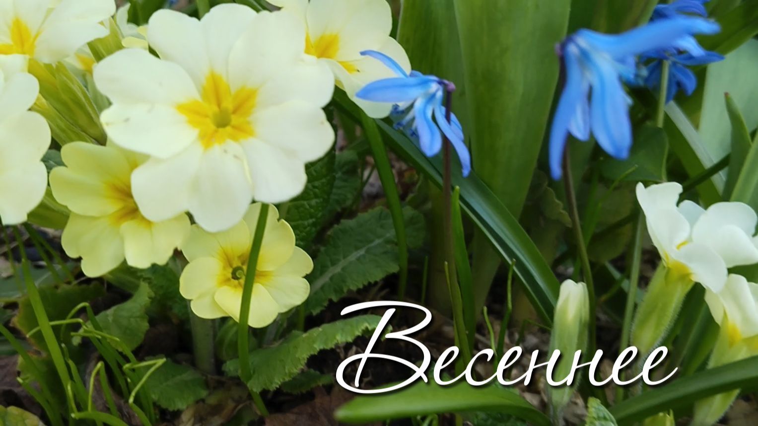 Весеннее.