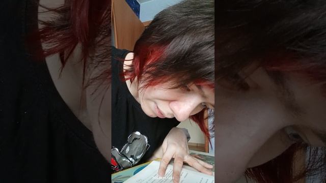 Путешествие Нильса с дикими гусями, глава третья ночной вор.