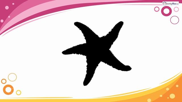 Guess the Animal by Its Shadow! _ Animal Shadows Quiz for Kids_720p