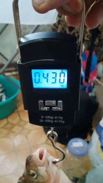 Рыбачил на реке Усень на пикер🎣 Прикормка Стерля (Лещ-Плотва). Наживка опарыш.