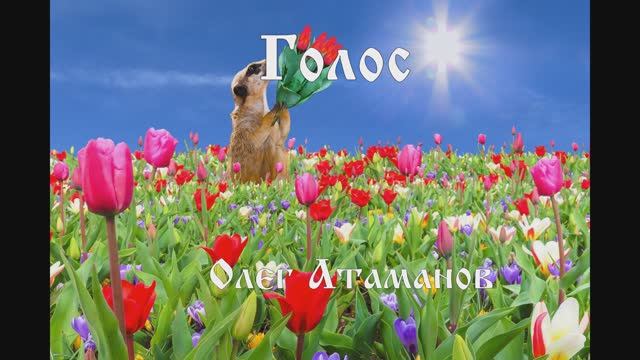 "Голос". Олег Атаманов.