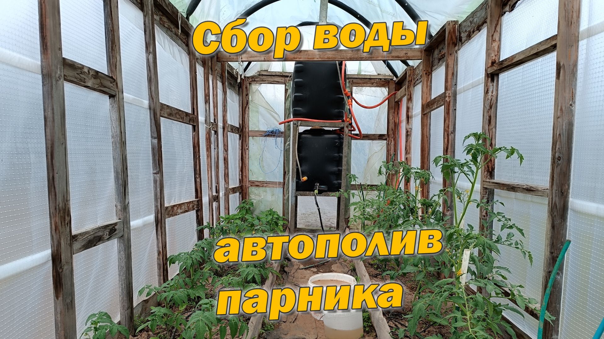 Сбор дождевой воды и автополив парника