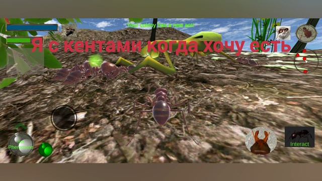 Я с кентами когда хочу есть