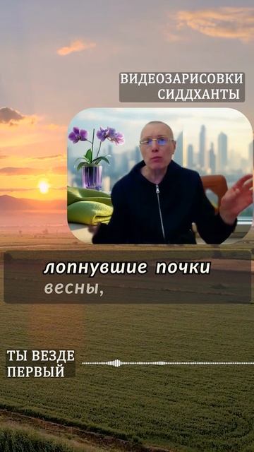 Ты везде первый. Видеозарисовки Сиддханты (Вячеслава Чернина)
