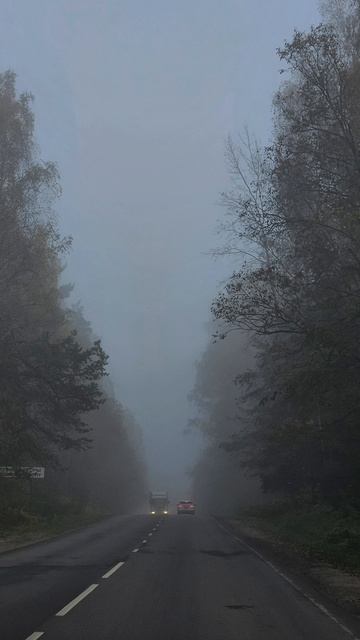 Когда реальность становится Твин Пиксом...