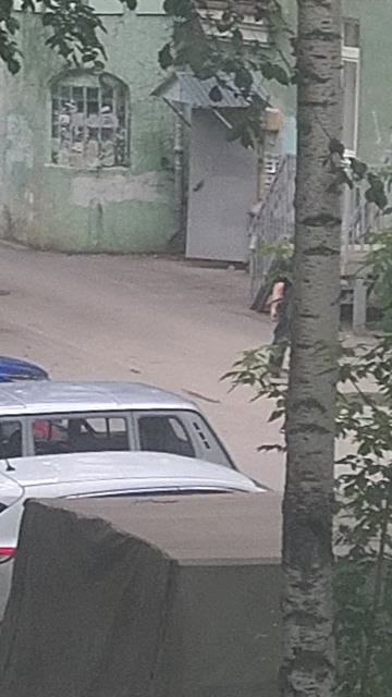 VID_20260529_102401955