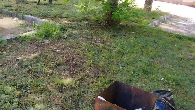 VID_20260531_123729047