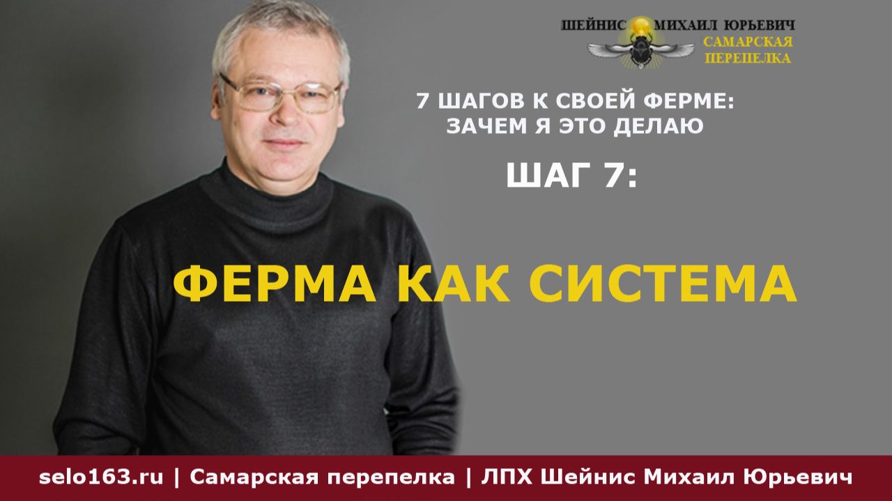 7 шагов к своей ферме зачем я это делаю Шаг 7 Ферма как система ИКР и минимально рабочая модель