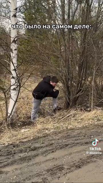 Перезаливы с TikTok