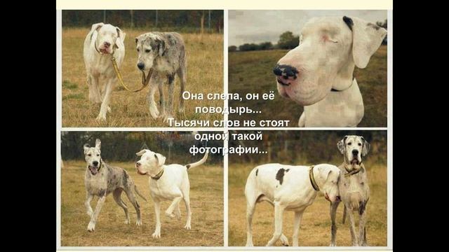 "Мы в ответе..."