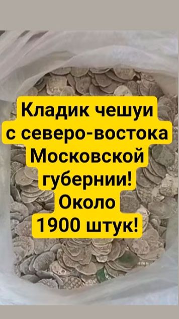 Клад чешуи с северо - востока Московской губернии! Около 2.000 штук!