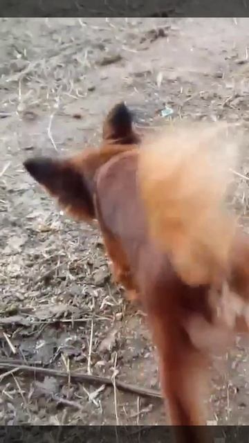 Что это лежит не на том месте?