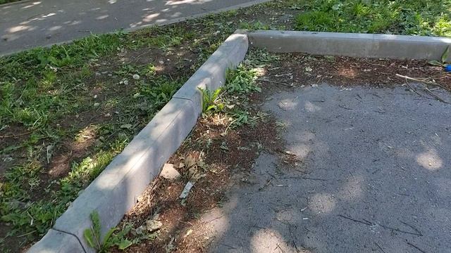 VID_20260531_123332917