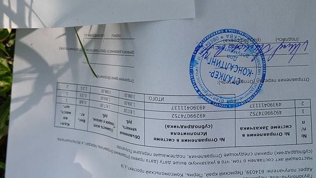 VID_20260529_092255145