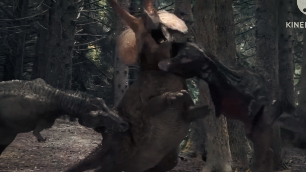 When Animals ATTACK!