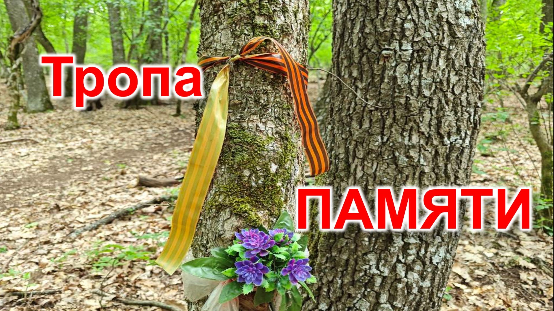 Тропа Памяти 2026