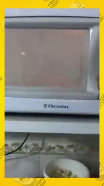 как обманут офигевшую собаку - заходи в вк --﹥ https://vk.com/peshkom_postoyu_smile_vk