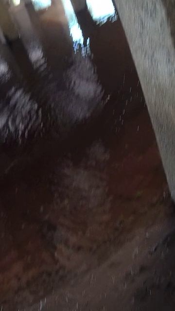 Окунь на вертушку mepps! Рыбалка ультралайтом под мостом! Спиннинг на небольшой реке!