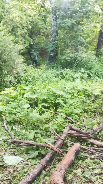 VID_20260530_184133