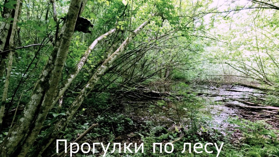 Еду устанавливать фотоловушку совсем  в новом месте. Со связью.