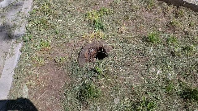 VID_20260531_123928257