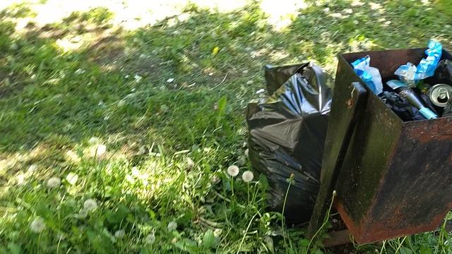 VID_20260531_123440956