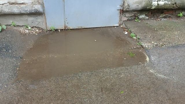 VID_20260529_131907338