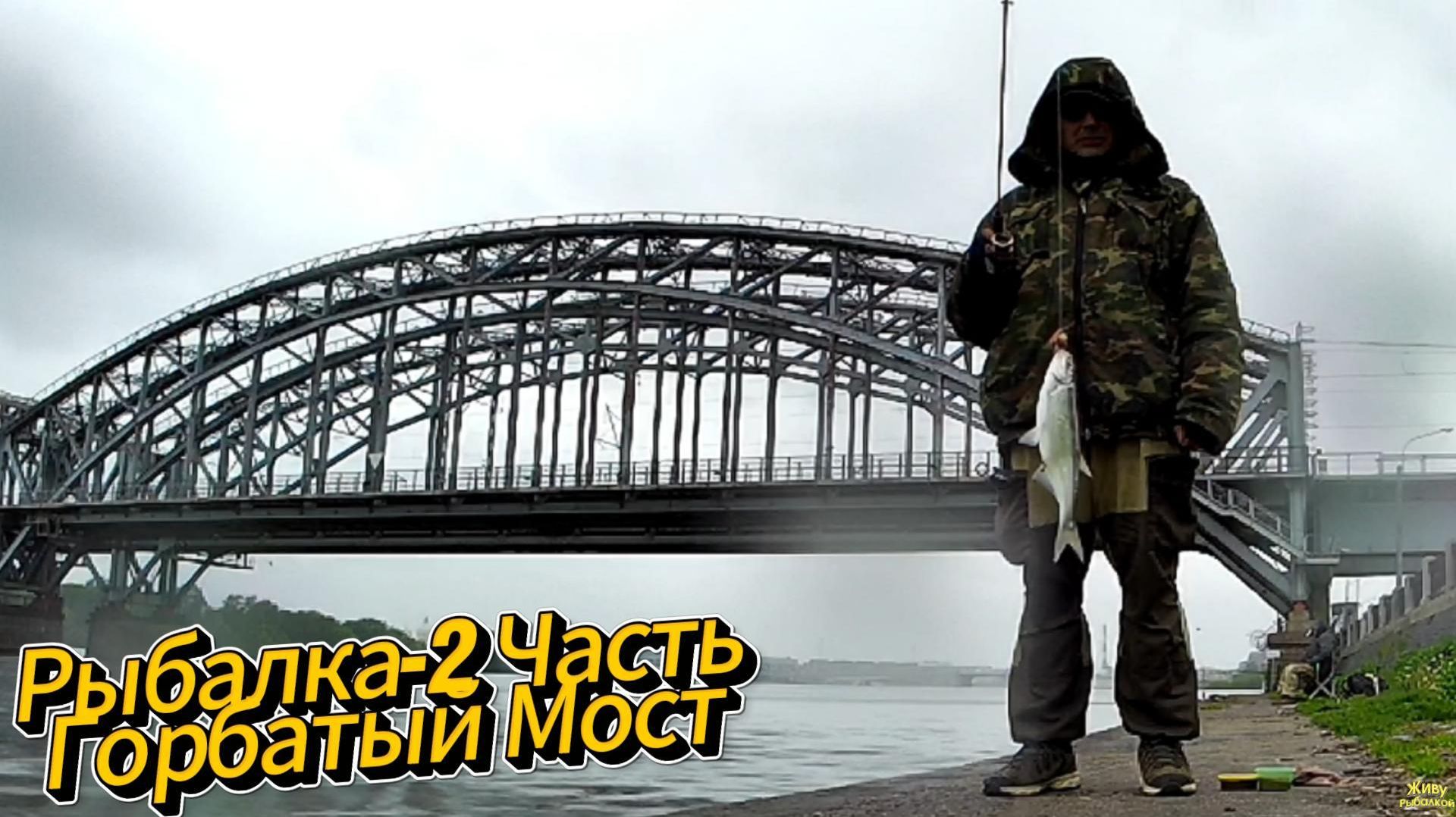 РЫБАЛКА  НЕВА 2 ЧАСТЬ ОХОТА НА ХИЩНИКА И МИРНУЮ РЫБУ ВЕЧЕРНЕЕ ВРЕМЯ ЛОКАЦИЯ ФИНСКИЙ МОСТ