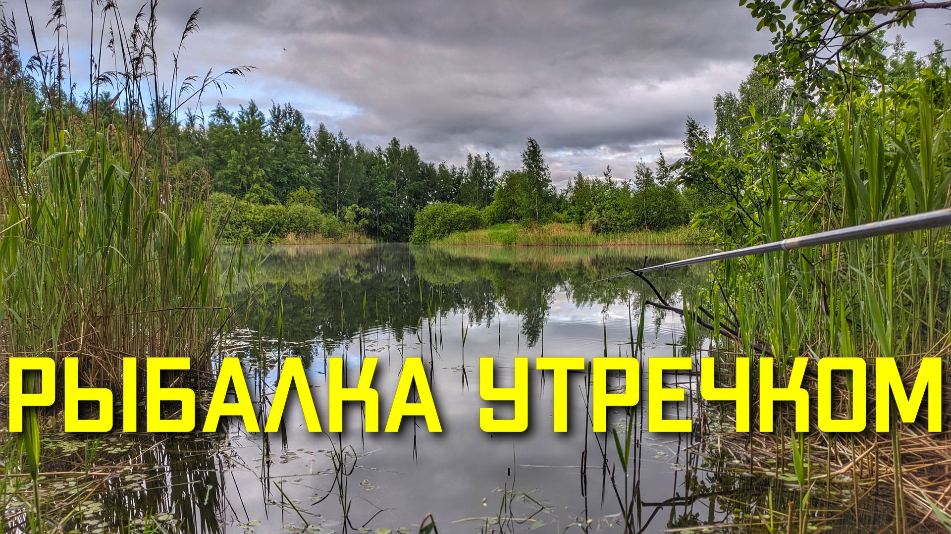 Утренний карась при смене погоды