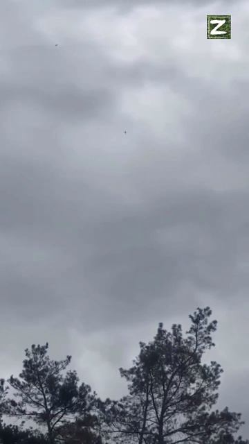 СВО