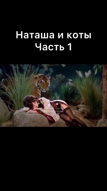 Наташа и коты часть 1