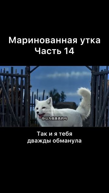 Маринованная утка часть 14