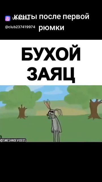 31-05-2026