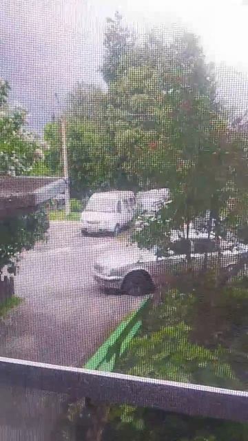 VID_20260531_111354