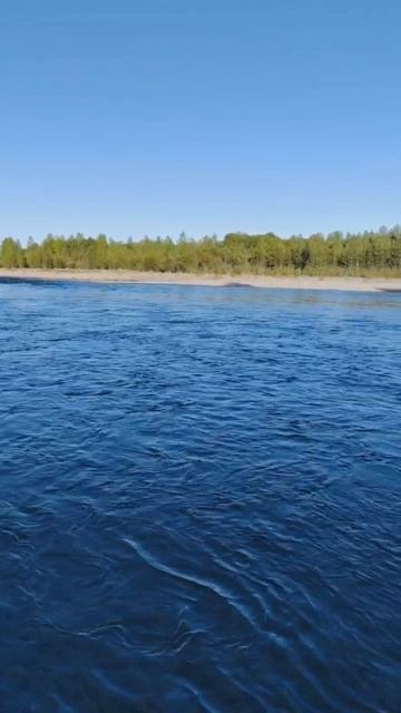 Красоты горного алтая, село Усть-Кокса #республикаалтай #горныйалтай #усть-кокса
