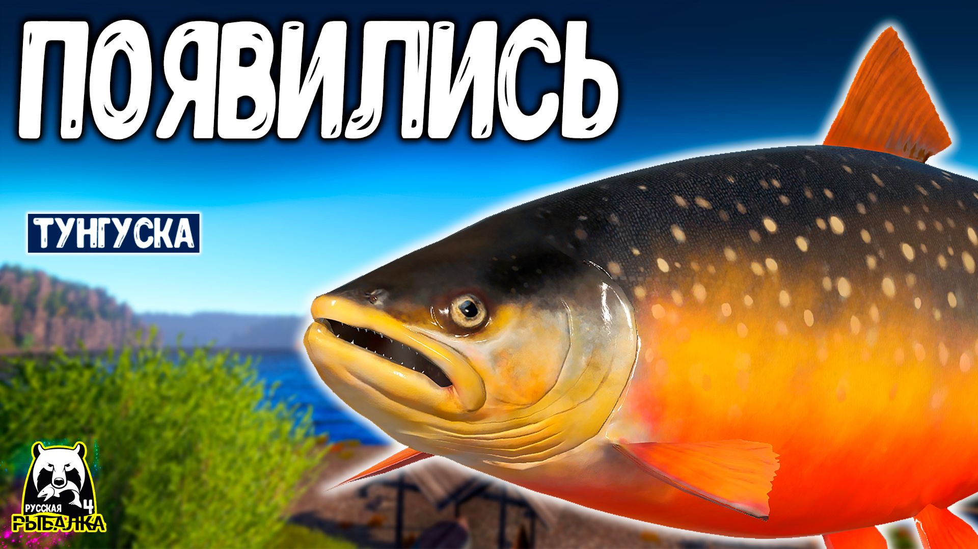 Снова появились и сами просятся в садок #рр4
