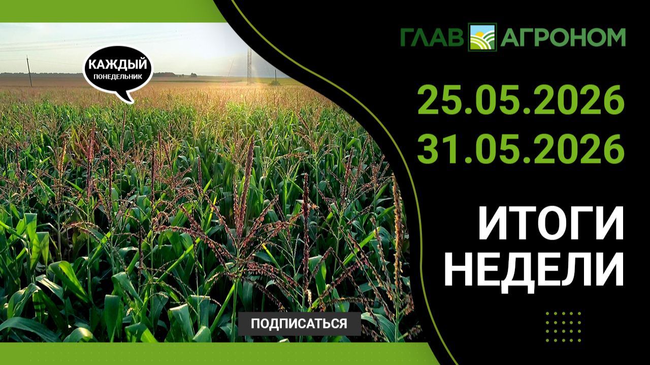 Итоги недели с ГлавАгроном 25.05.2026 – 31.05.2026