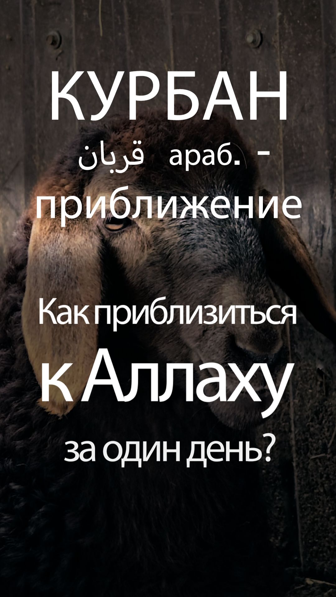 Как приблизиться к Аллаху за один день?