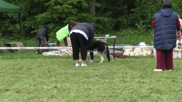 Класс юниоров