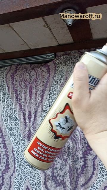 Пчёл уважаю, ос - нет!