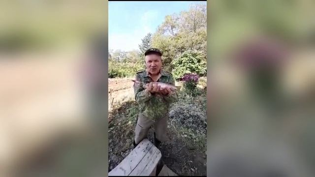 Кунджа на воблер 60 мм (6.4 гр) №51 от Mr.Musurok 🔥