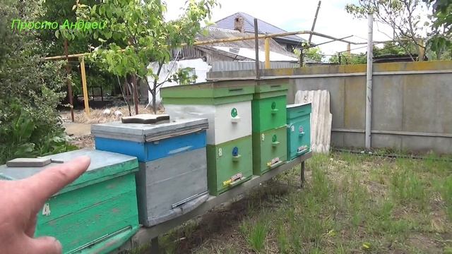 Пчеловодство удачи и неудачи