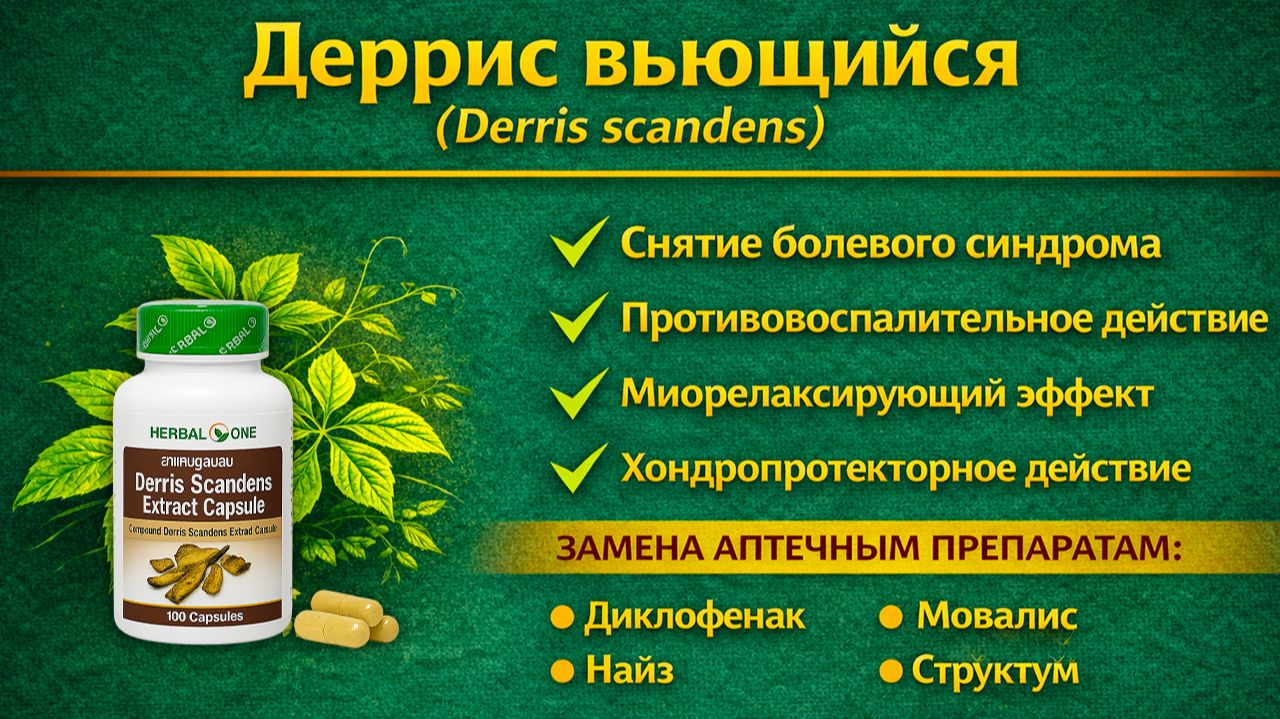 Деррис вьющийся (Derris Scandens) капсулы
